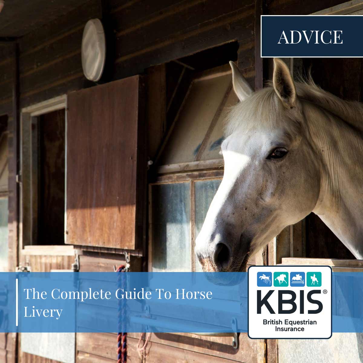 The Complete Guide to Horse Livery | KBIS